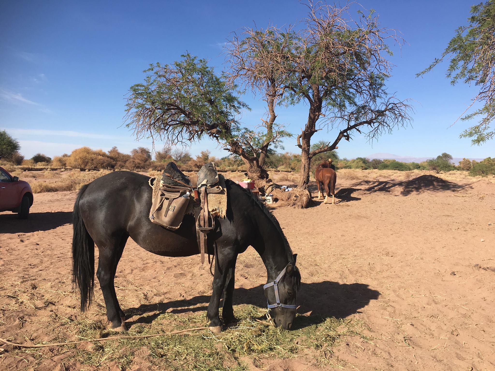Randonnée à cheval au Chili - Désert d'Atacama - Pachamama Voyages